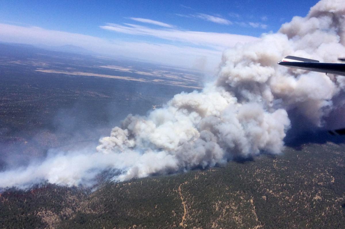 Arizona Wildfire Burns 7200 Acres of National Forest - Reactionary Times