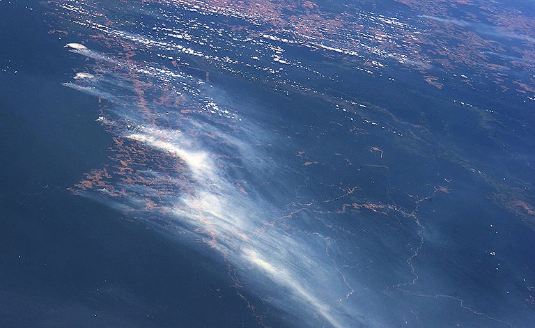 Smoke From Amazon Forest Fire Can be Seen From Space - Reactionary Times